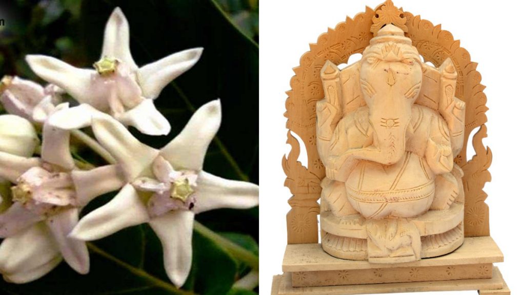 Most Powerful Swetharka Ganapathi: కష్టాలు తీరడం లేదా, చదువులు వెనకబడి ...
