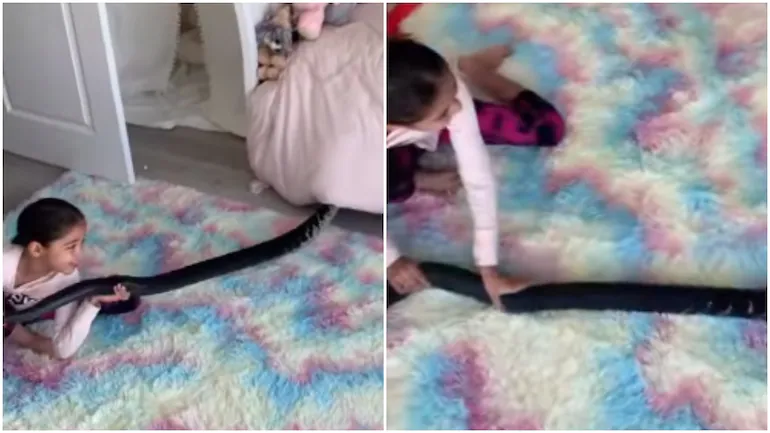 News | భారీ కొండ చిలువతో చిన్నారి ఆటలు.. ఆందోళనలో నెటిజెన్లు.. వీడియో ...