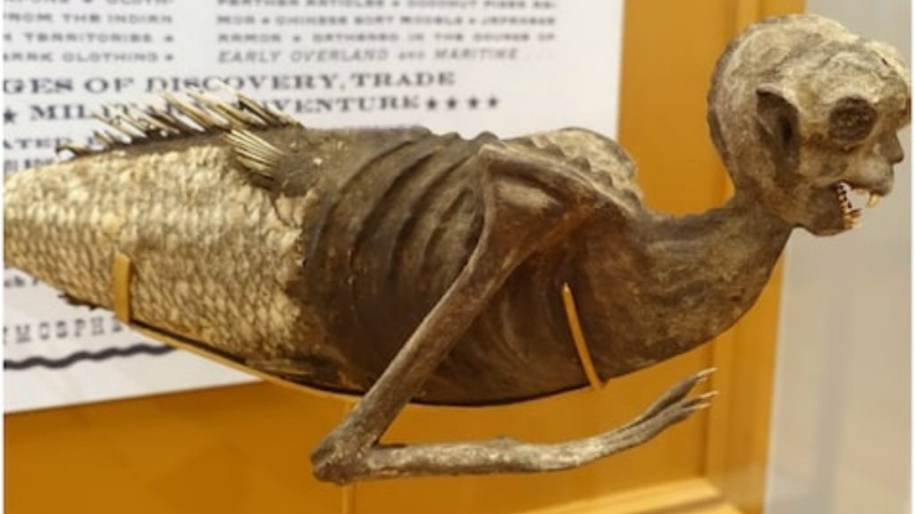 Fiji Mermaid Viral Photo: రహస్య జీవి ఫిజీ మెర్మైడ్ గురించి షాకింగ్ ...