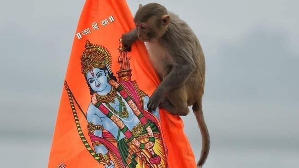 Monkey Enters Inside Ram Temple: రామ మందిరంలోకి ప్రవేశించిన కోతి, బాలక్ ...