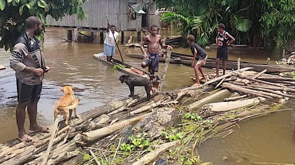 Papua New Guinea Earthquake: భారీ భూకంపం ధాటికి 5 మంది మృతి, వేయికు ...